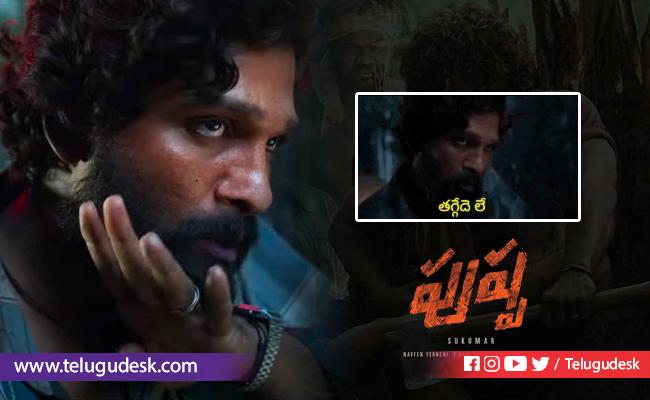 తగ్గేదే లే అంటూ పుష్ప నుంచి టీజర్ వచ్చి 7 నెలలవుతోంది.. అందరూ ...
