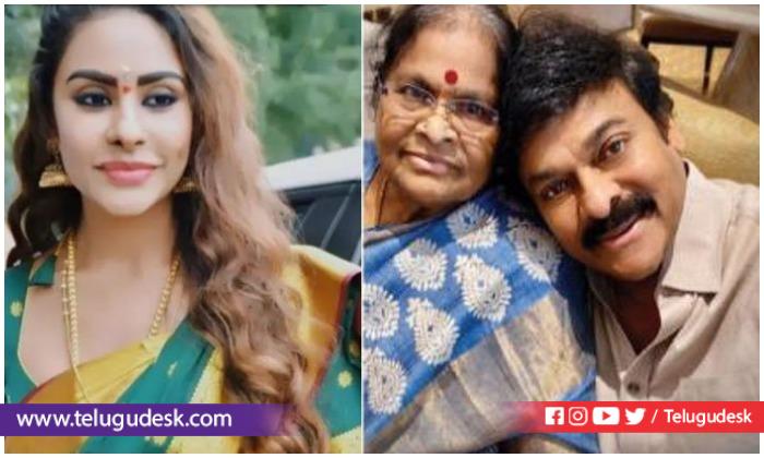 Sree Reddy: బహిరంగంగా చిరంజీవి తల్లిని క్షమాపణలు కోరిన శ్రీ రెడ్డి ...