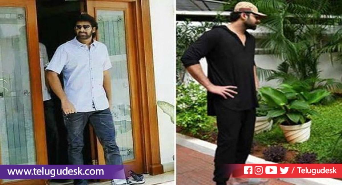 Prabhas: జూబ్లీహిల్స్ లో 84 ఎకరాల ఫామ్ హౌస్ కొన్న ప్రభాస్... అసలు విషయం ...