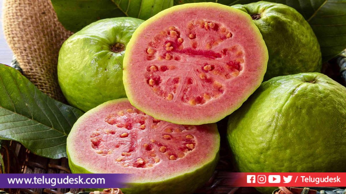ఎర్ర జామలో దాగి ఉన్న సూపర్ బెనిఫిట్స్.. చాలామందికి తెలియని నిజాలు ...